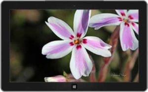 20 Beautiful Windows 7 Themes To Download For Free