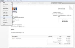 How to Download Your PayPal Invoice in Form of PDF File